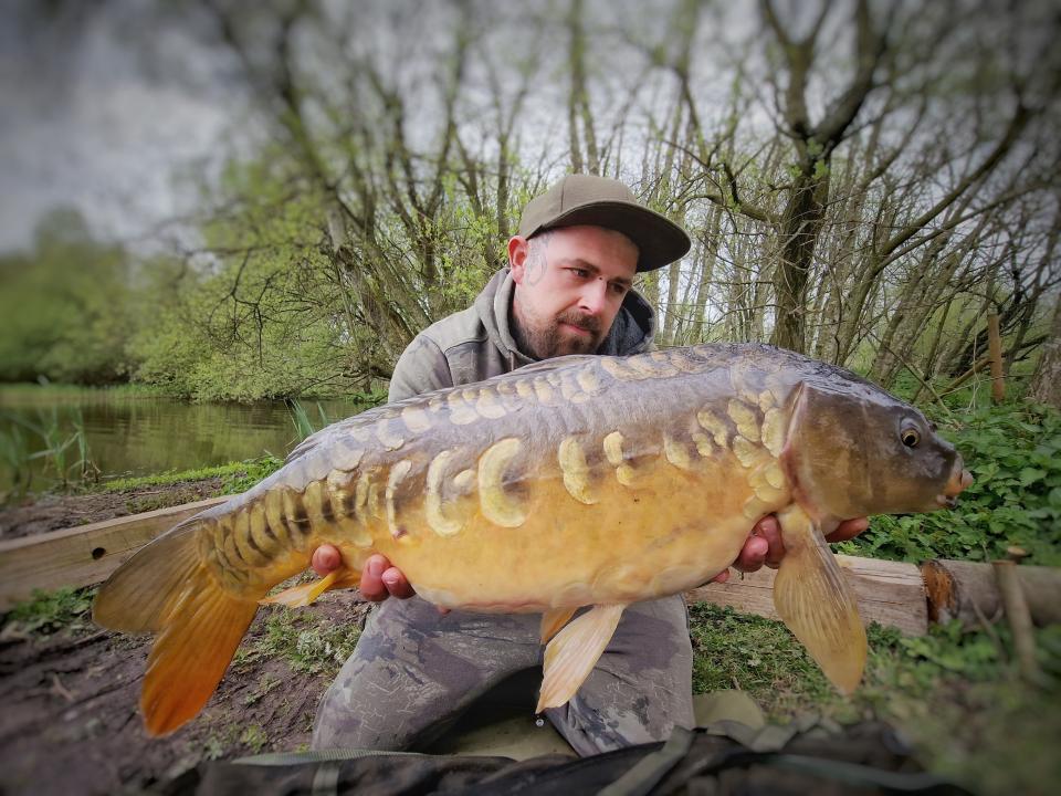 Seighford scaley | Total Carp